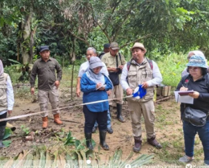 Dinas Perkebunan Kaltim Tetapkan Kebun Sumber Benih Aren Genjah Kutim ...